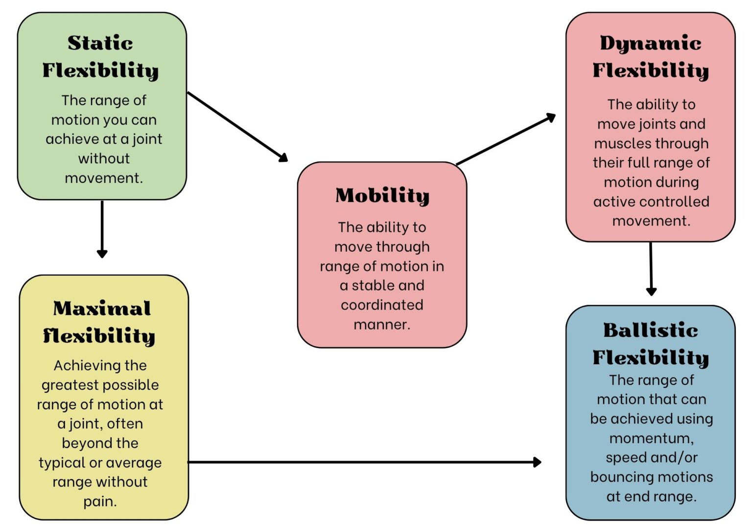 Types of Flexibility - Limber Sports Performance